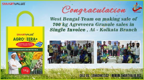 Best Direct Selling Company in India - Smart Value Limited